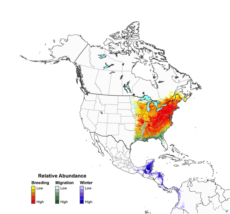 ABUNDANCE MAP - Partners in Flight