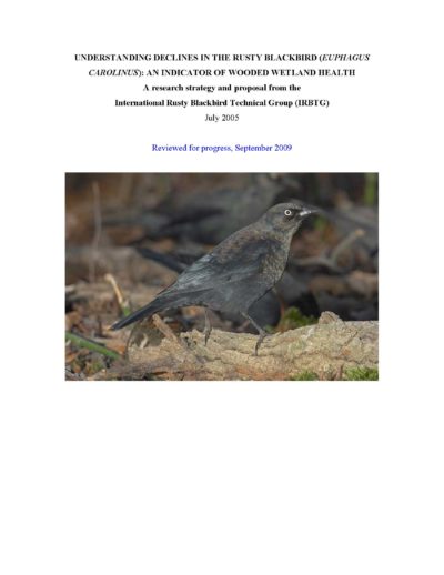 Rusty Blackbird Focal Species Plan - Partners in Flight