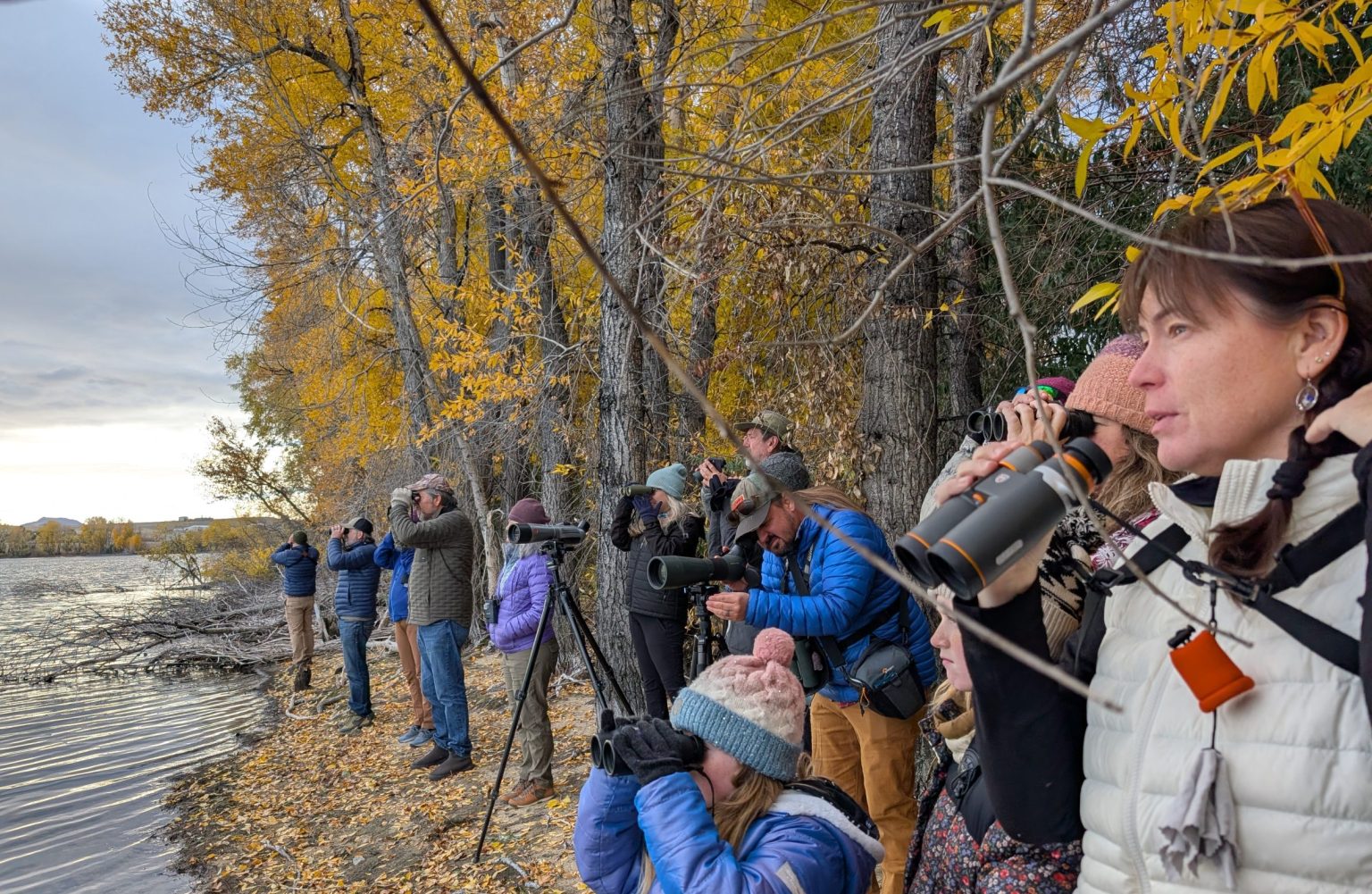 Building Momentum for Bird Conservation: Highlights from the Fall 2025 ...