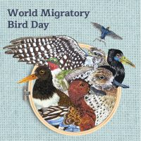 Día Mundial de las Aves Migratorias - Socios en Vuelo